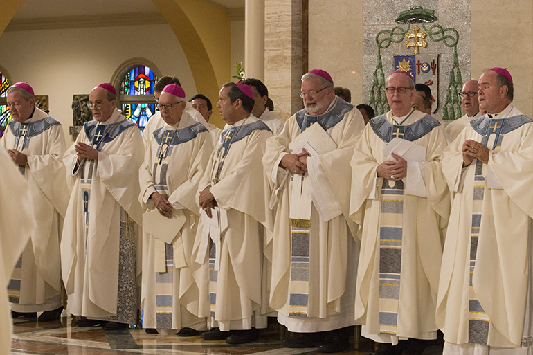 ADOM :: Mary's Assumption: our hope for the future