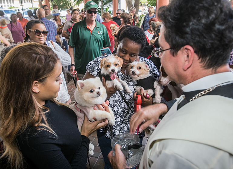ADOM :: On feast of St. Francis, bless your pet
