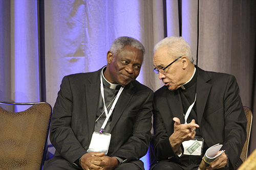 ADOM :: Cardinal Turkson stresses ‘basic unity of the human family’
