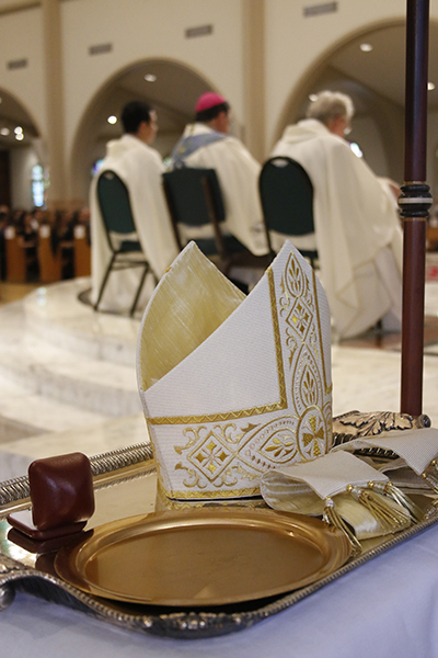 ADOM :: Bishops: successors to the apostles