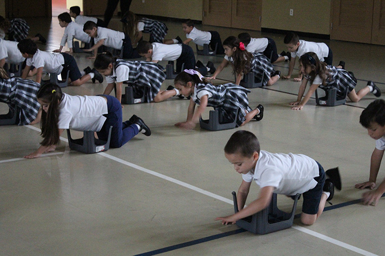 ADOM :: NeuroNet Learning helps students get in sync