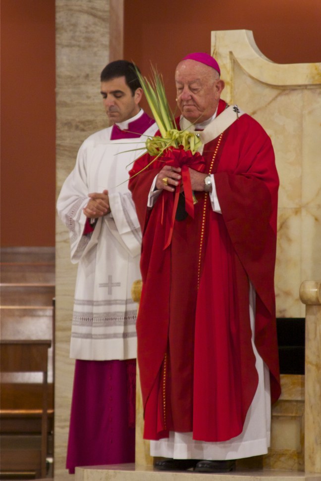 ADOM :: Palm Sunday at the Cathedral of St. Mary
