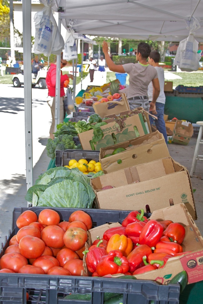 ADOM :: Earth Day festivities at Barry University