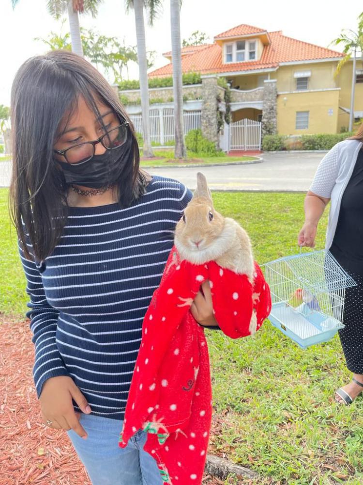 ADOM :: Pets get blessing on St. Francis' feast day