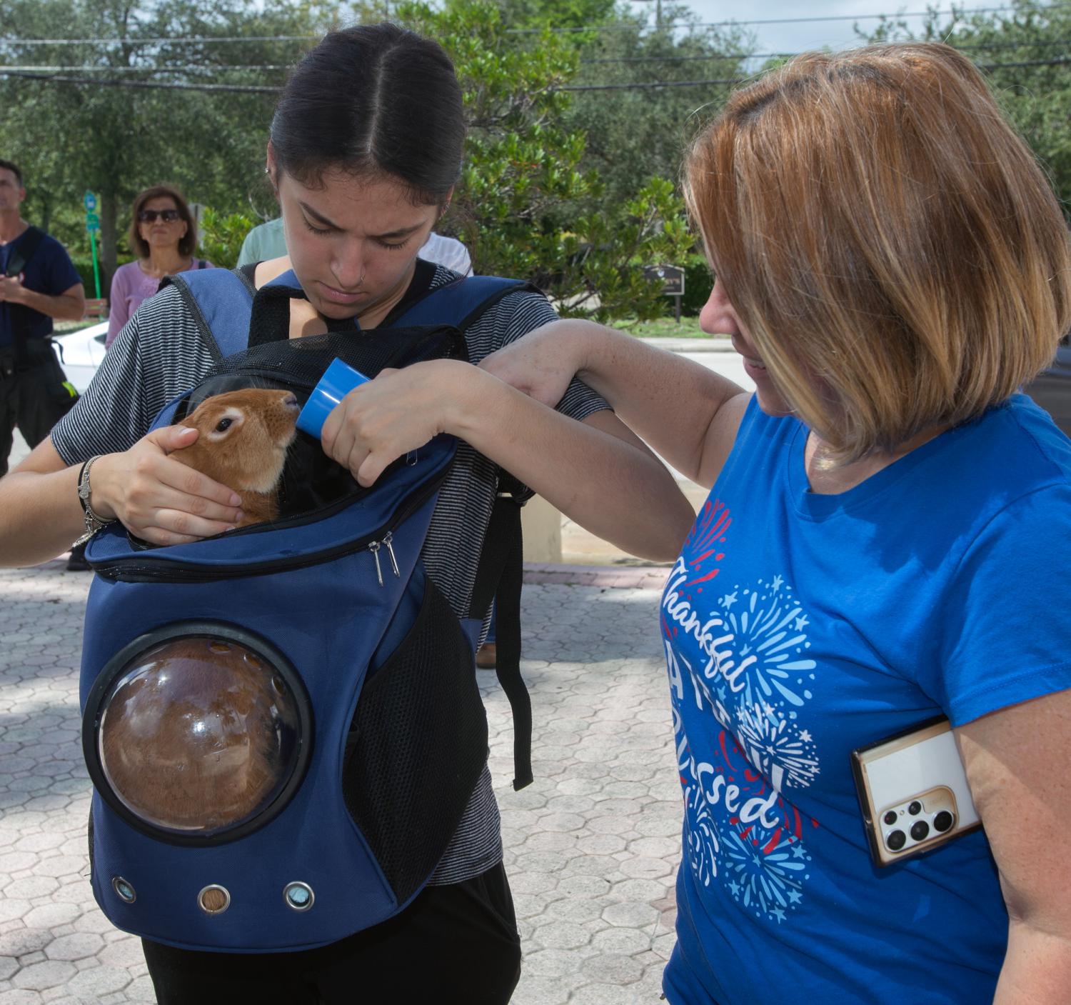 ADOM :: God bless our pets