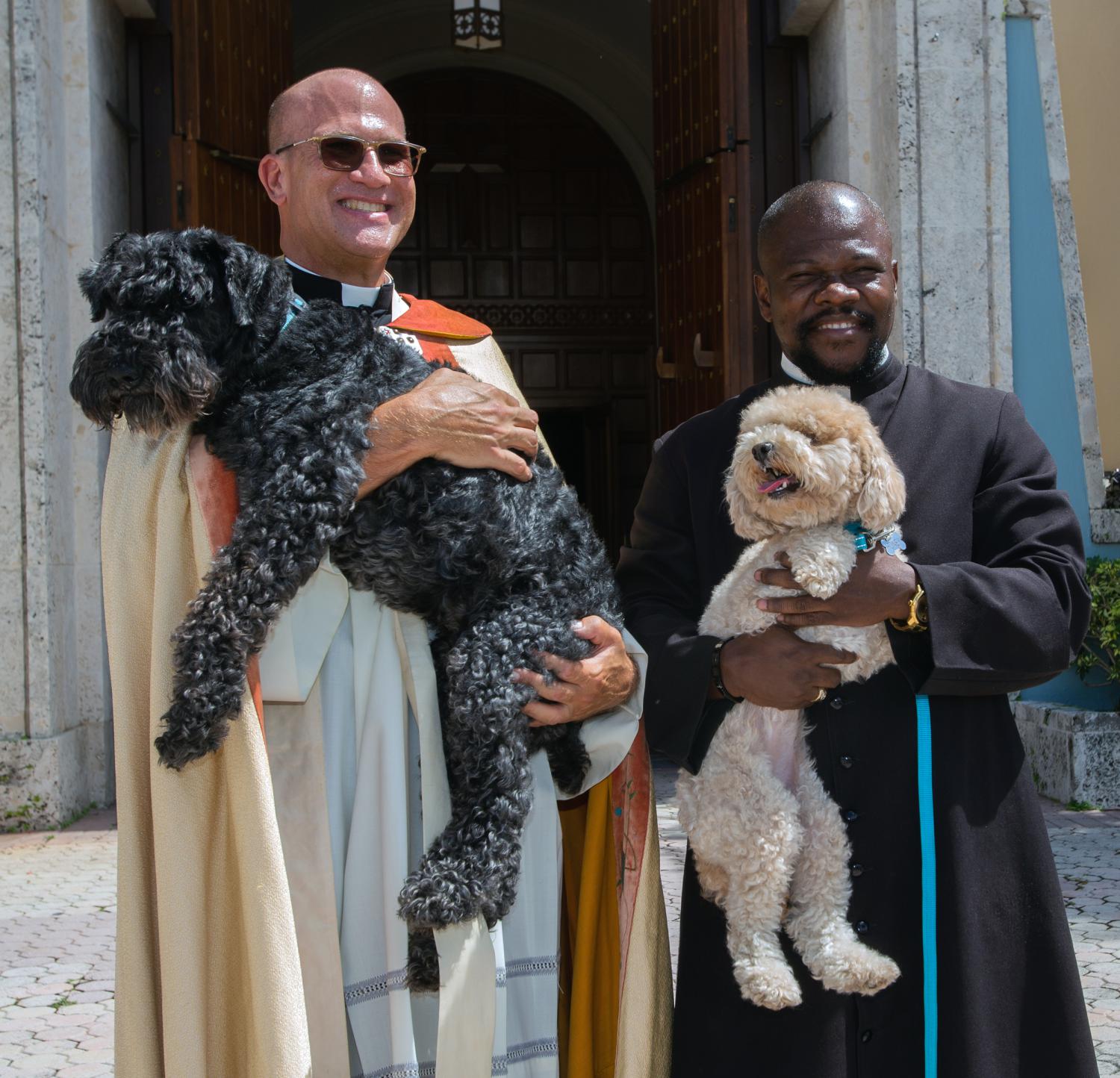 ADOM :: God bless our pets