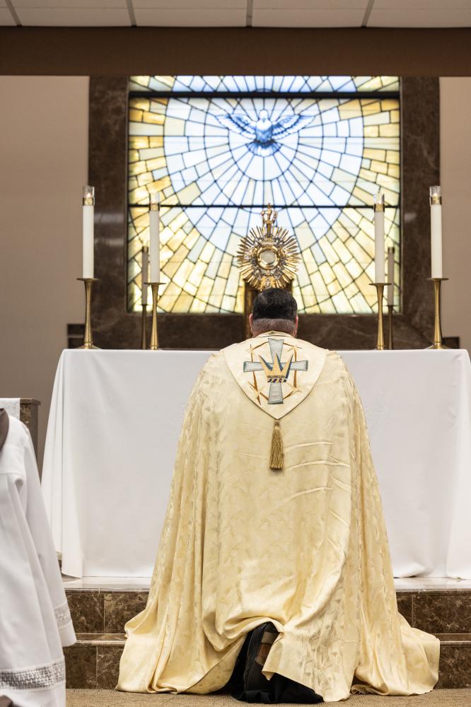 ADOM :: Meal packing, eucharistic processions and field days